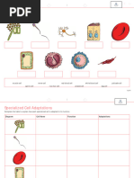 KS3 Science Revision Worksheets Cells | PDF | Vacuole | Cell (Biology)