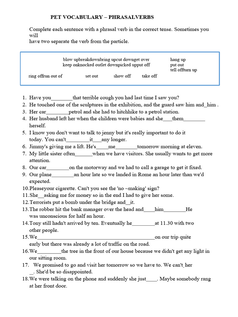 PET Vocabulary - Phrasal Verbs | PDF