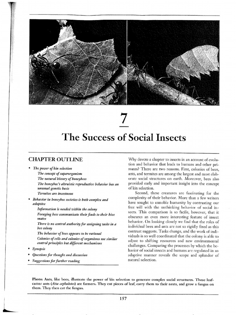 Eusociality | PDF