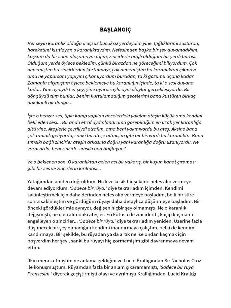 BAŞLANGIÇ | PDF