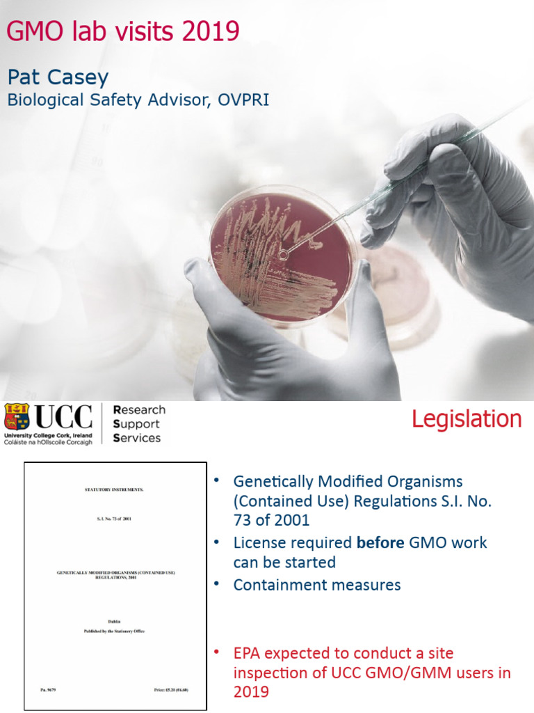 GMO Presentation 290319 | PDF | Genetically Modified Organism | Safety