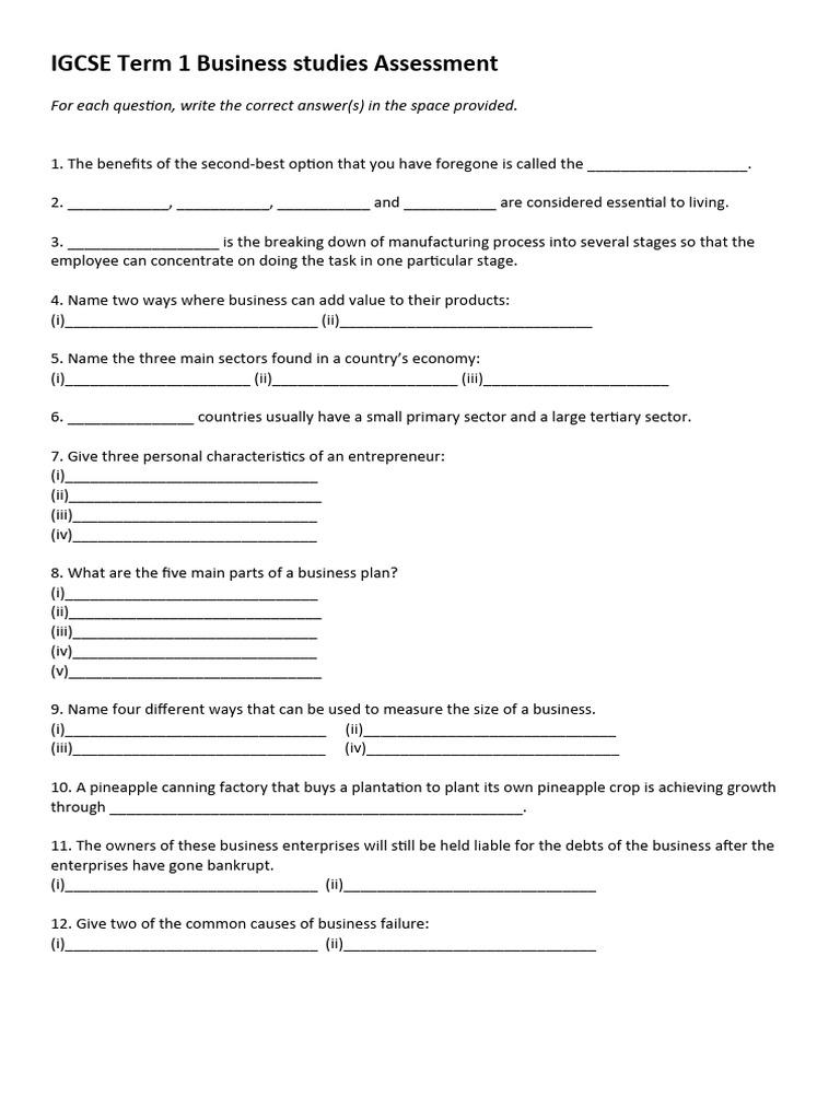 Business Studies Fill-in-the-Blanks Assessment | PDF