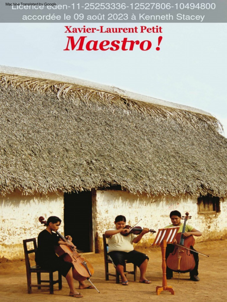 Maestro 2 | PDF