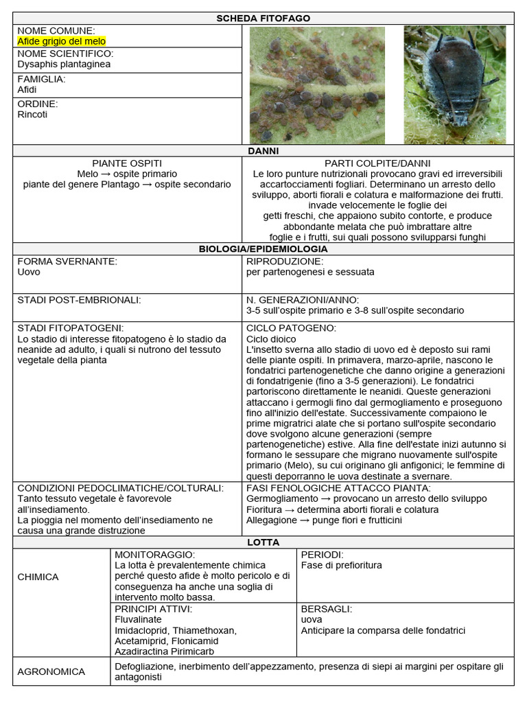 Schede Fitofagi Unica | PDF