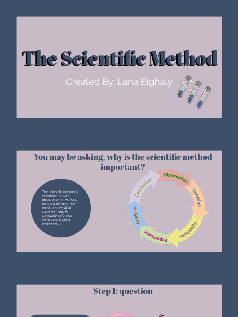 Lana Elghaly - Unit 1 Summative Assessment | PDF
