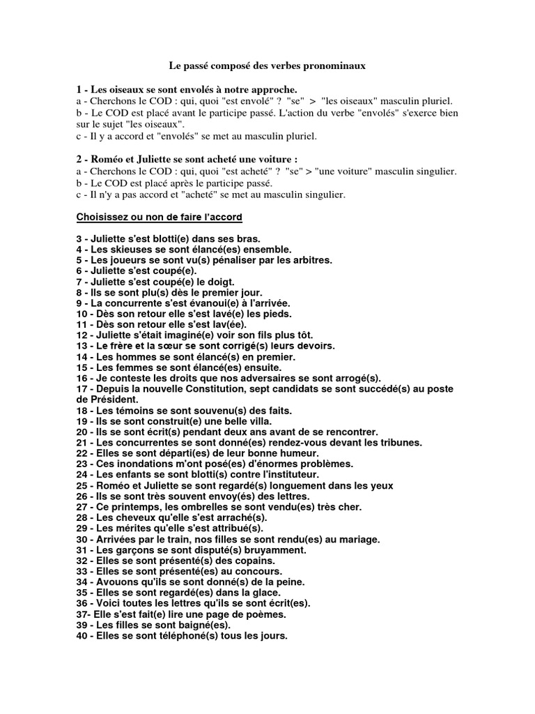 Exercice - Le Passé Composé Des Verbes Pronominaux | PDF | Sujet ...