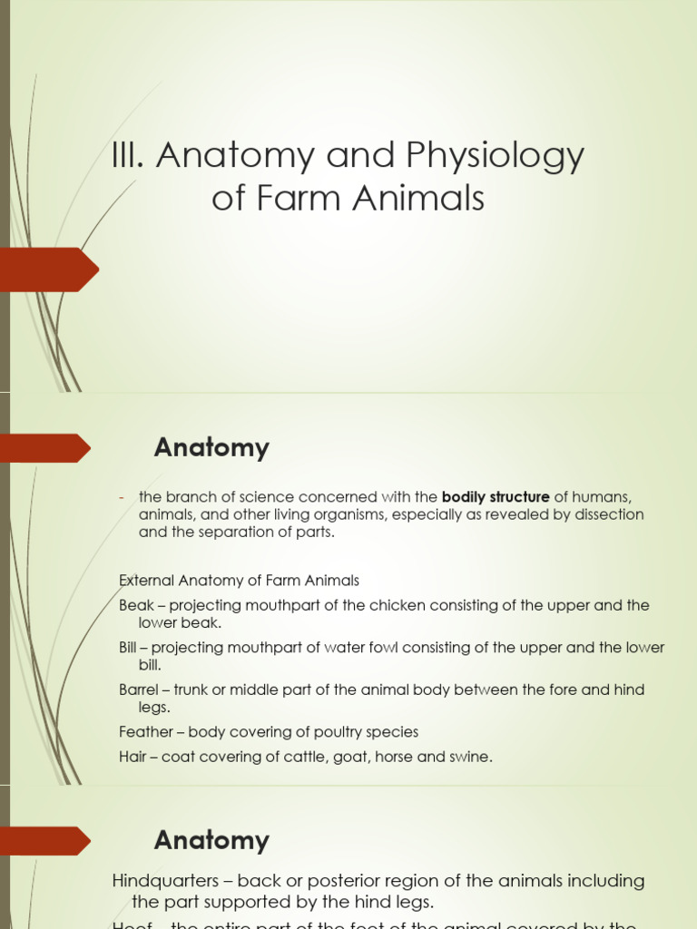 Anatomy and Physiology of Farm Animals | PDF