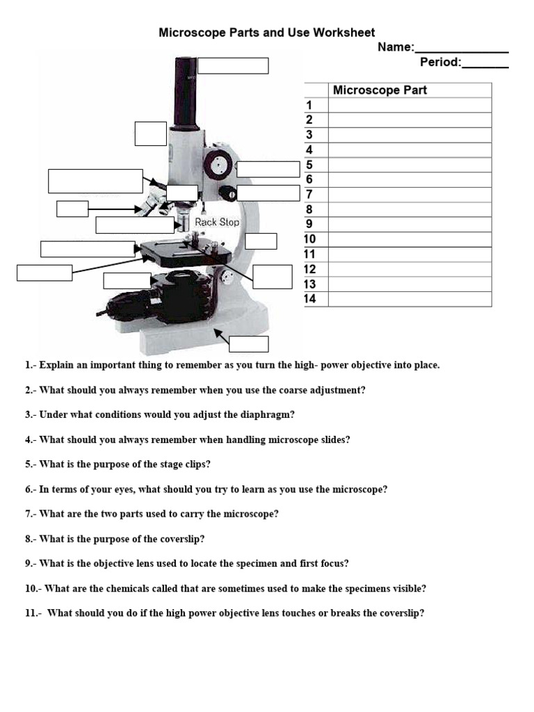 Microscope Parts & Usage Guide | PDF