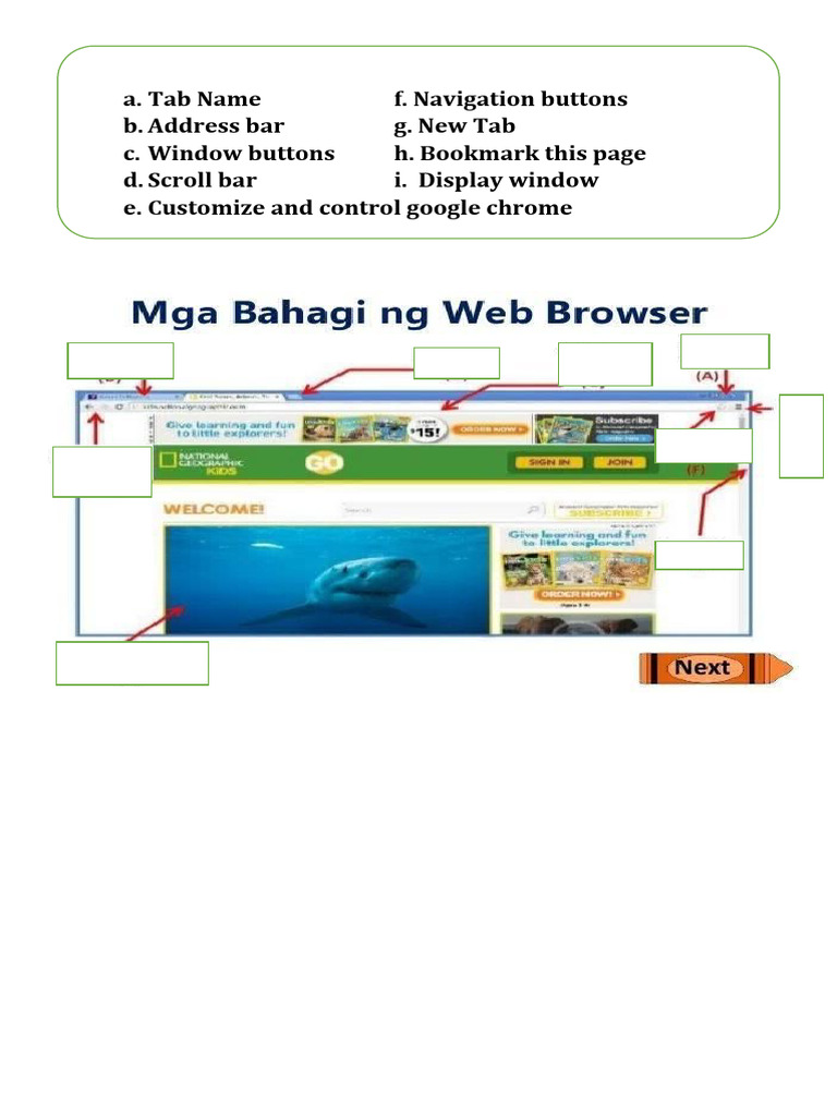 Bahagi NG Isang Web Browser | PDF