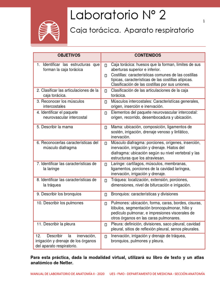 Laboratorio 2 - Macroanatomía | PDF