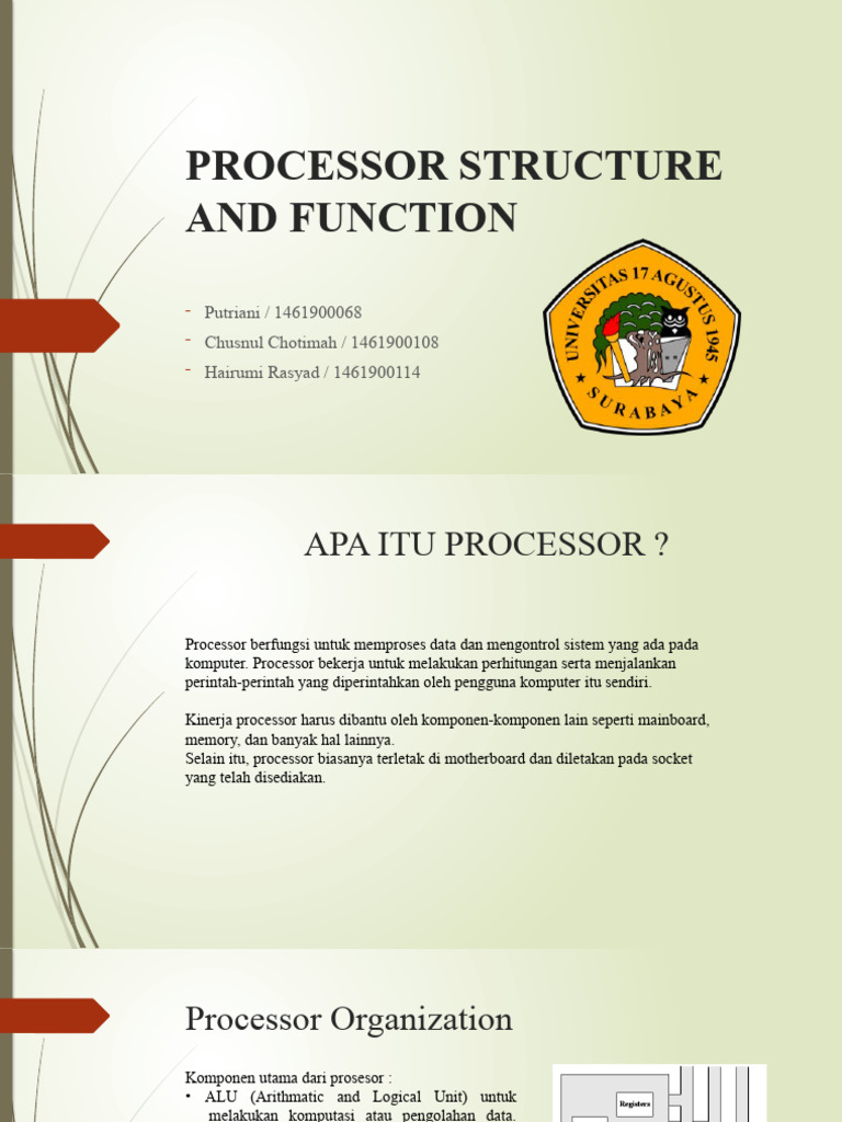 Processor Structure and Function | PDF