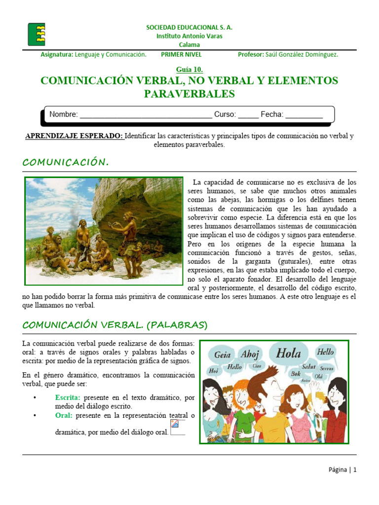 G10. Comunicación Verbal y No Verbal | PDF