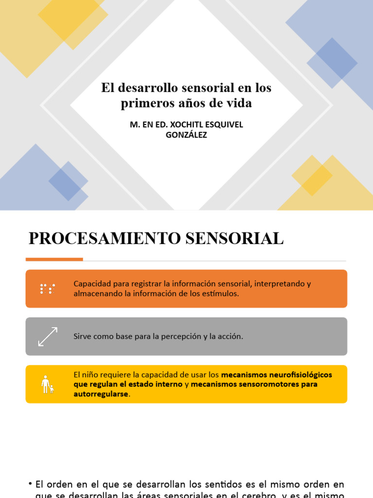 El Desarrollo Sensorial en Los Primeros Años de | PDF | Movimiento rápido del ojo Sueño | Percepción
