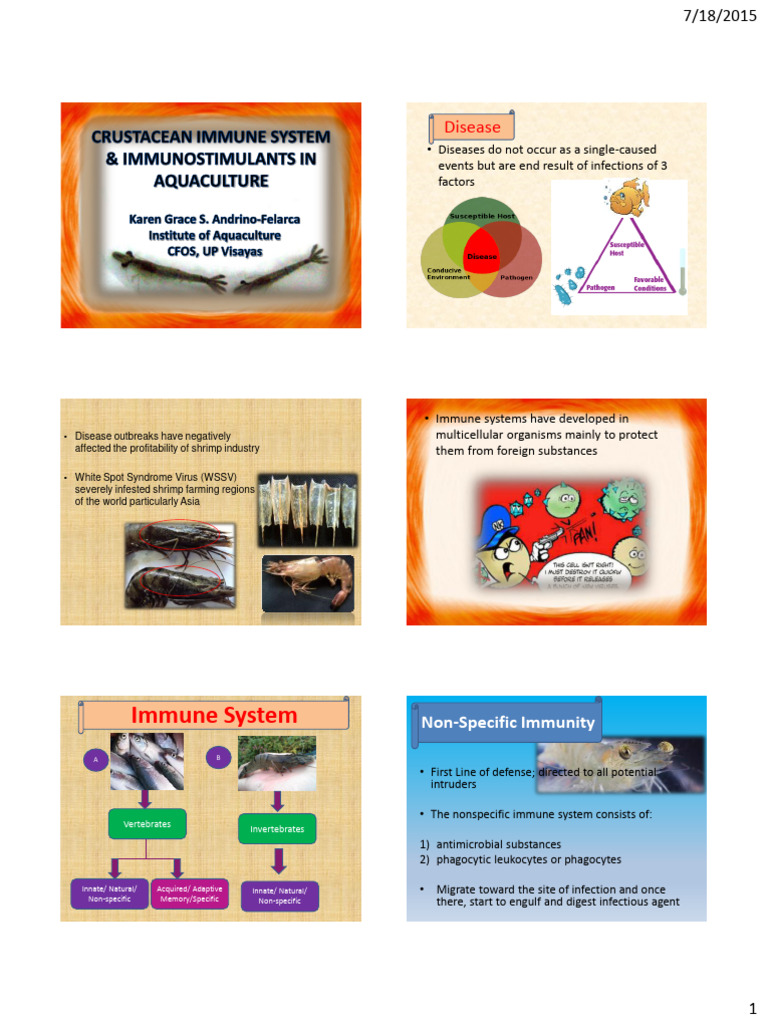 Crustacean Immune System | PDF