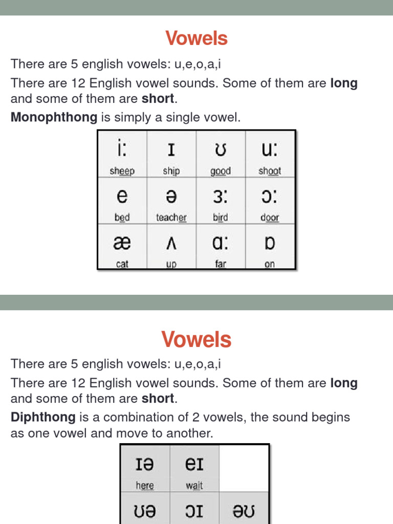Vowels and Consonants | PDF | Vowel | Phonetics