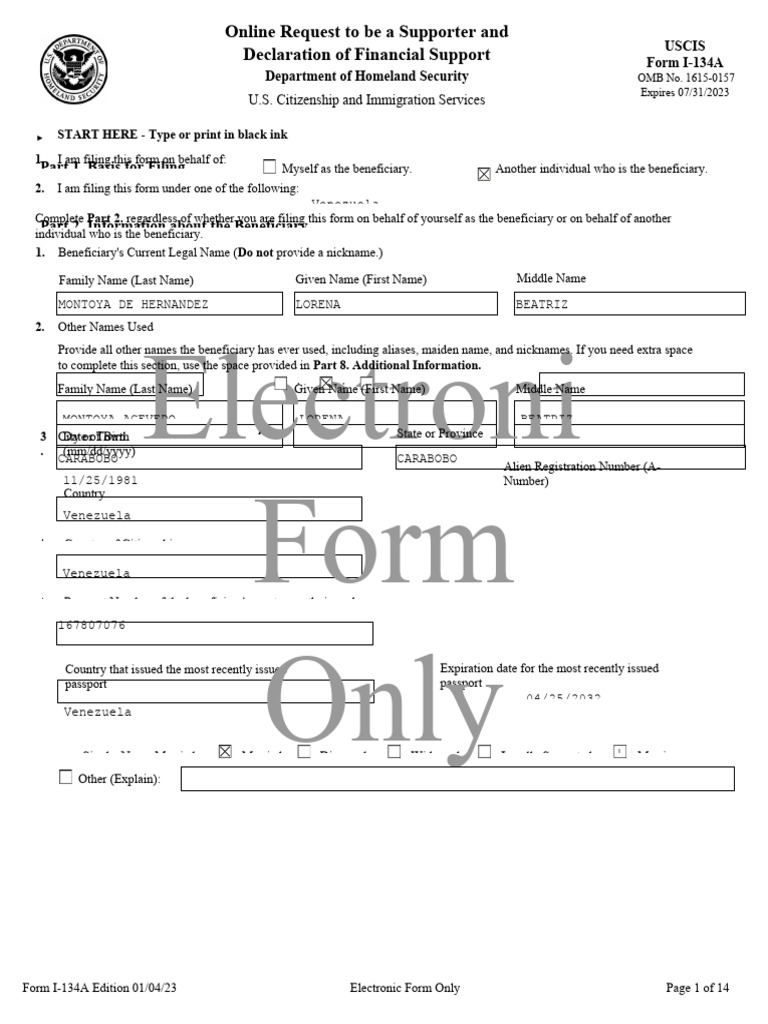 Application I-134A LORENA | PDF
