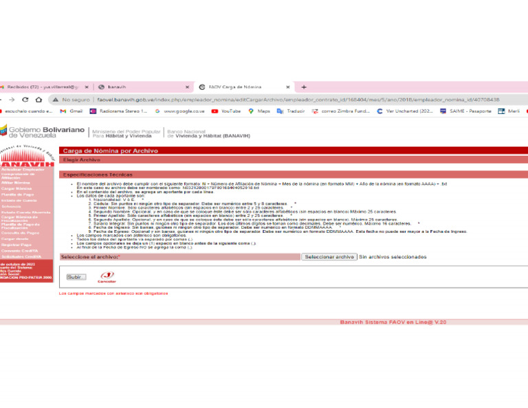pautas del txt faov | PDF