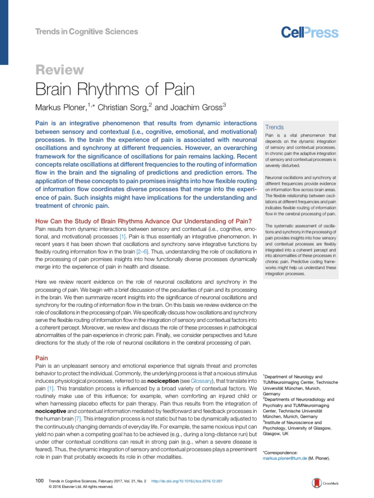 Main | PDF | Neural Oscillation | Brain