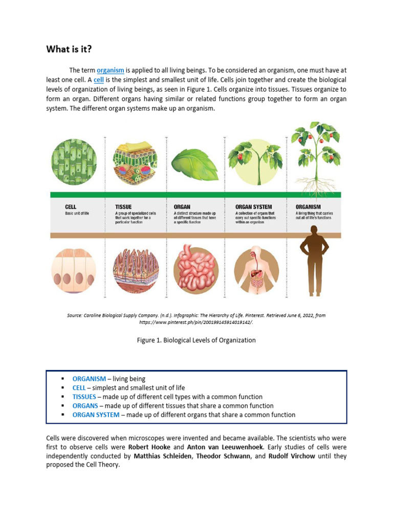 BIO01 CO1 Module - An Overview of The Cell | PDF | Social Science ...