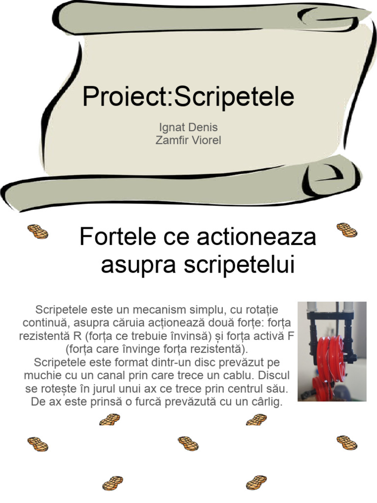 Proiect Scripetele | PDF