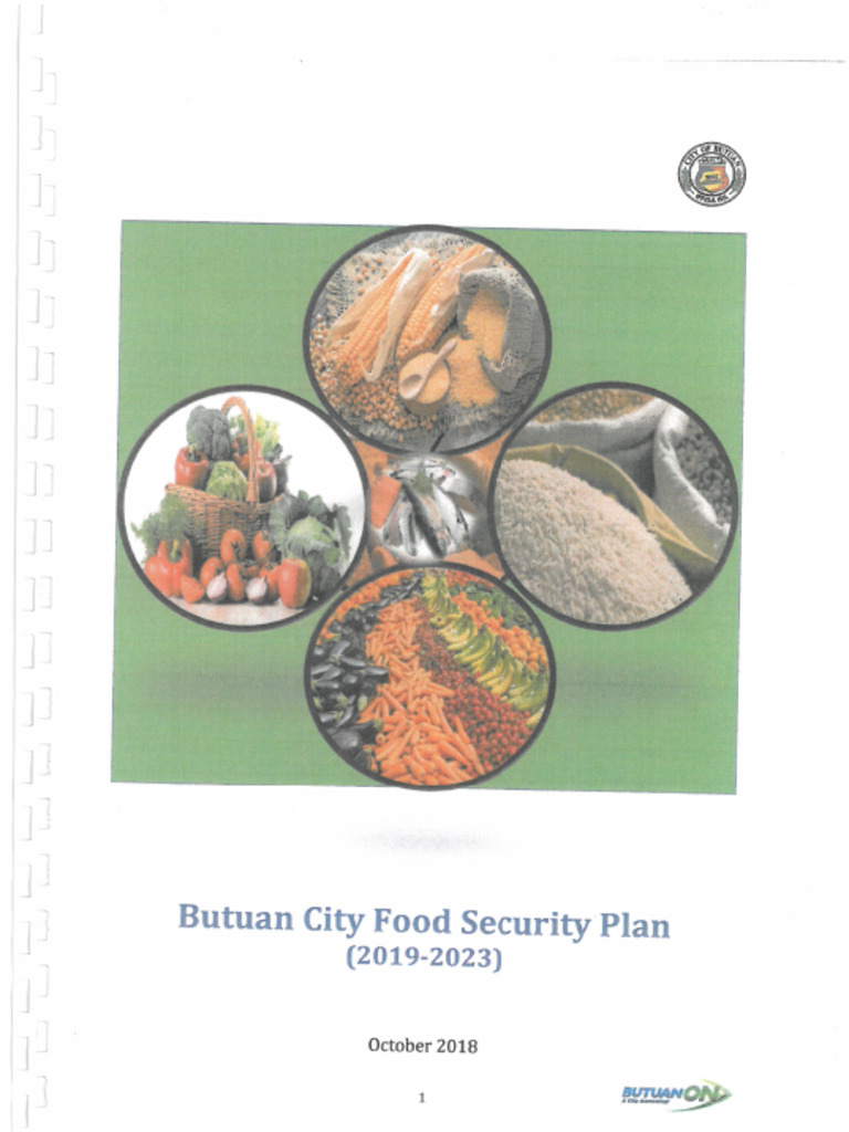 Butuan City Food Security Plan | PDF