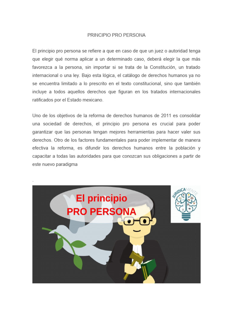 Principio Pro Persona | PDF | Derechos humanos | Constitución