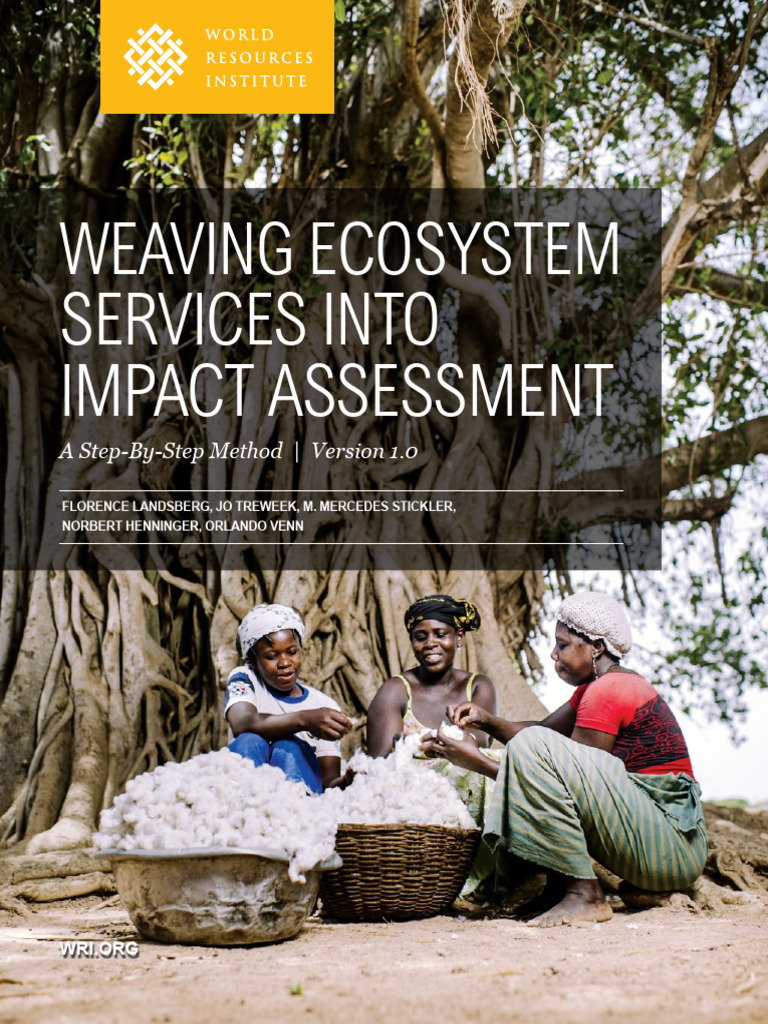 Weaving Ecosystem Services Into Impact Assessment | PDF | Soil | Water Pollution