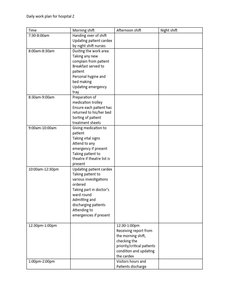 Daily Work Plan For Medical Ward1 | PDF