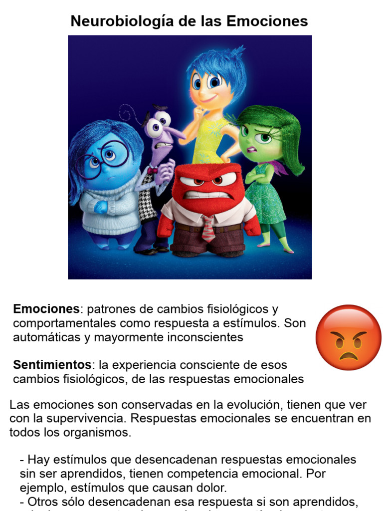 Neurobiología de las Emociones y el Cerebro | PDF | Las emociones ...