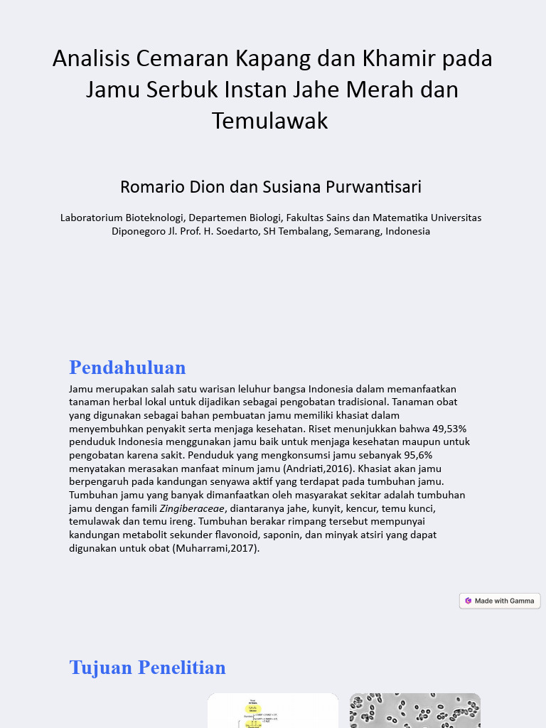 Analisis Khamir | PDF