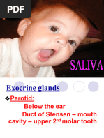 Understanding Sialogogues and Their Uses | PDF | Saliva | Medical ...