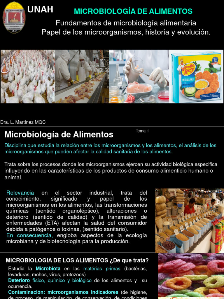 PresentaciÃ³n 1 UNIDAD FUNDAMENTOS DE MICROBIOLOGÃ A ALIMENTARIA | PDF ...