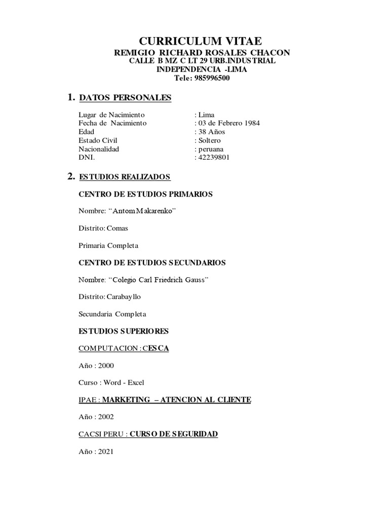 CV Richard Rosales | PDF