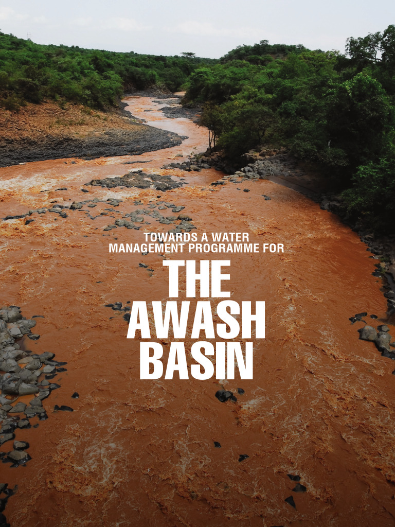 Awash Basin Strategy | PDF