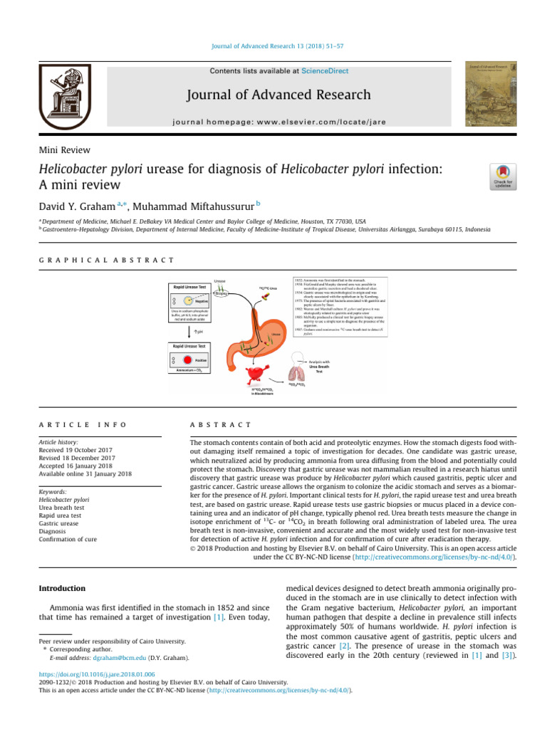 Helicobacter Pylori Urease | PDF