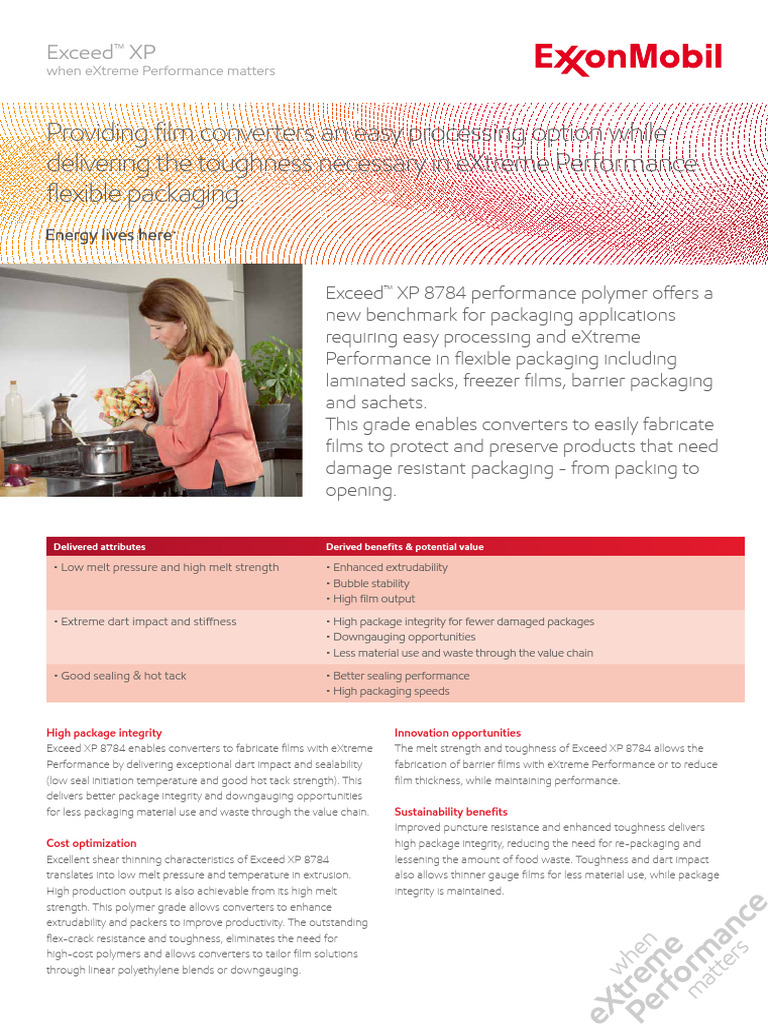 Exceed XP 8784 Factsheet Enpdf | PDF | Materials | Physical Sciences