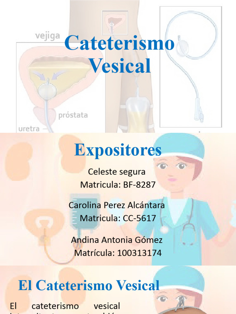 Cateterismo Vesical | PDF | Medicina | Enfermedades y trastornos