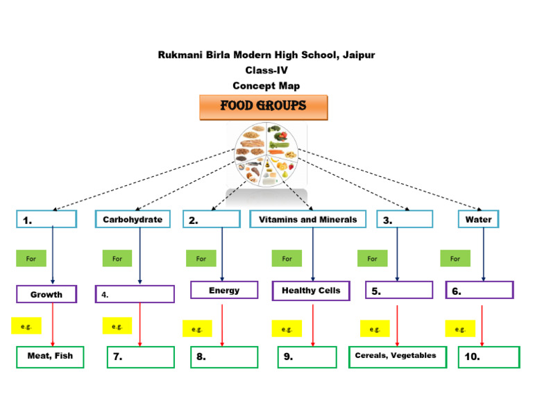 Class IV Food Groups Concept Map | PDF