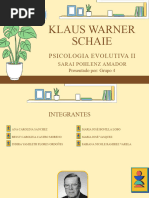 Modelo de Schaie: Etapas Cognitivas | PDF | Adultos | Vejez