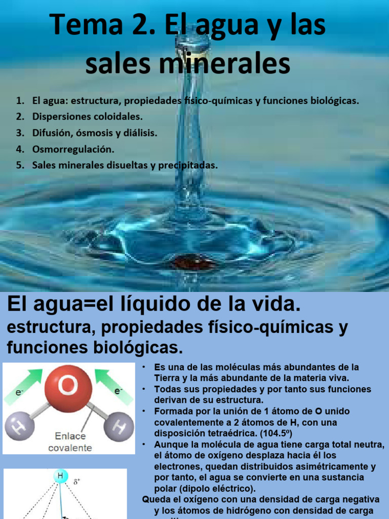 Propiedades del Agua y Sales Minerales | PDF | Propiedades del agua ...