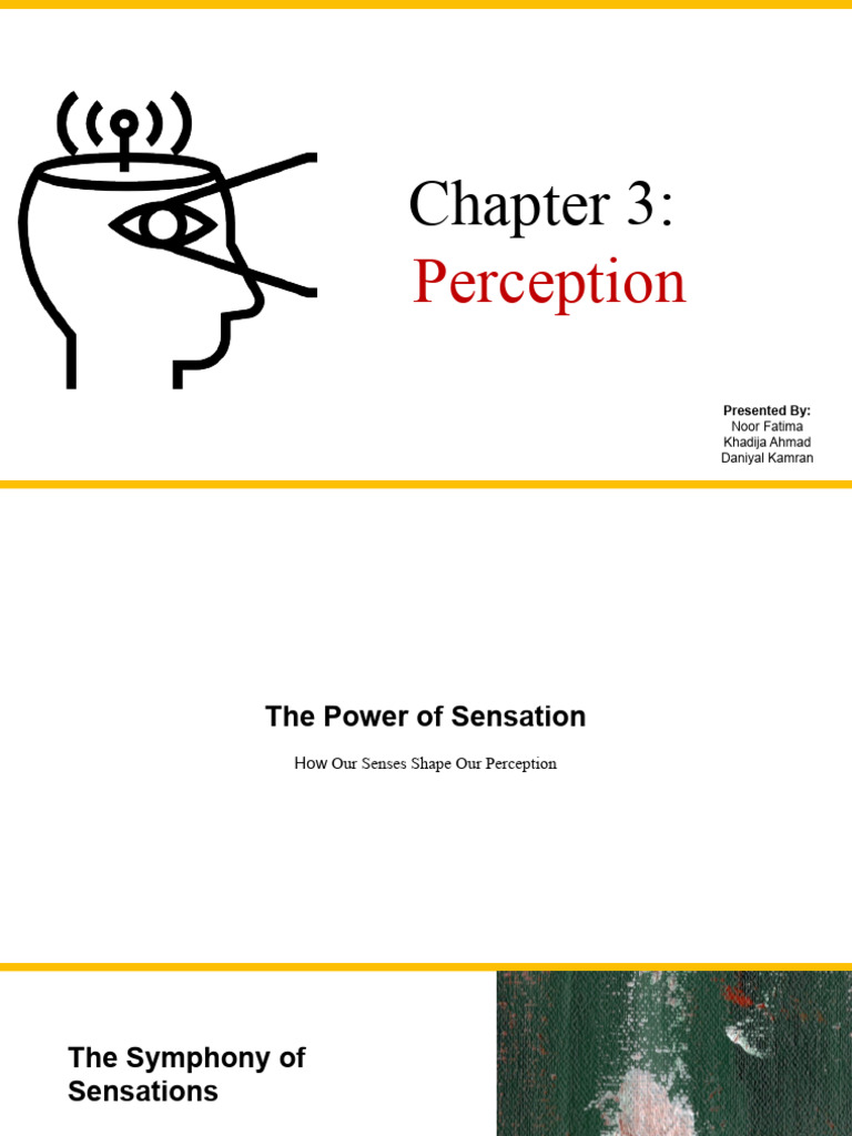 Chapter 3 Perception | PDF