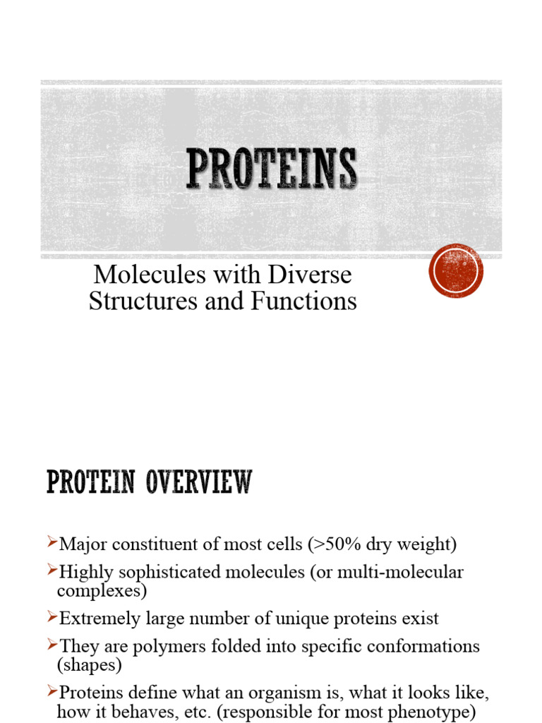 Proteins, Lecture 5 | PDF | Proteins | Amino Acid