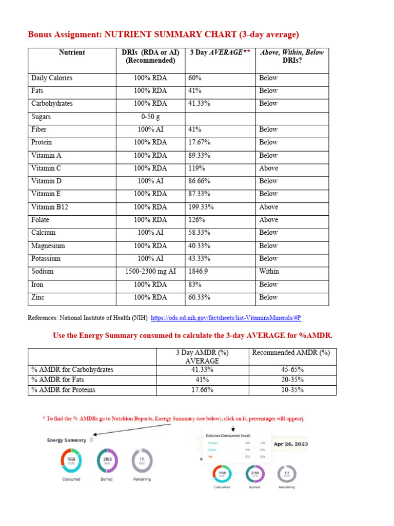 Bonus - Nutrient Summary Chart (3 Days) | PDF