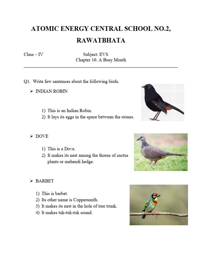 A Busy Month Worksheet | PDF