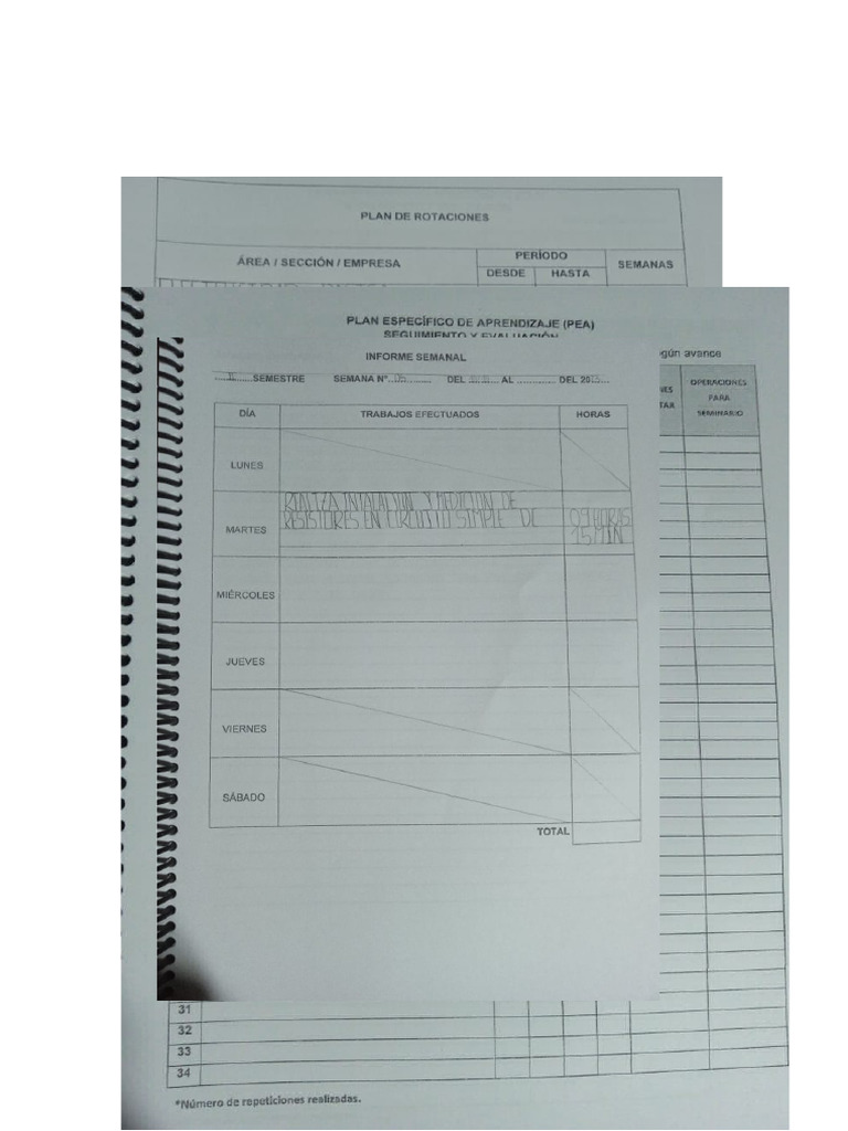 Cuaderno de Informe | PDF