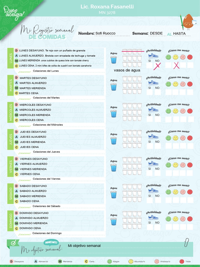 REGISTRO DE COMIDAS Lic. Roxana Fasanelli | PDF