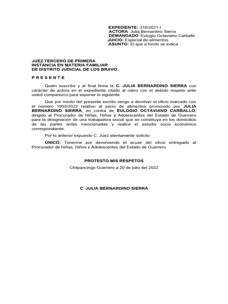 Devolver Acuse Escrito | PDF | Política | Ciencias sociales