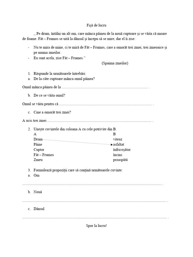 Fisa de Lucru 4 - Nevoi Speciale | PDF