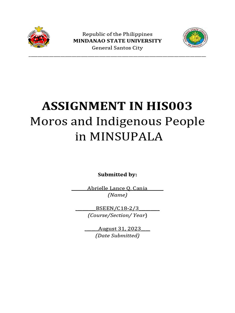IPs and Moros Assignment Template | PDF
