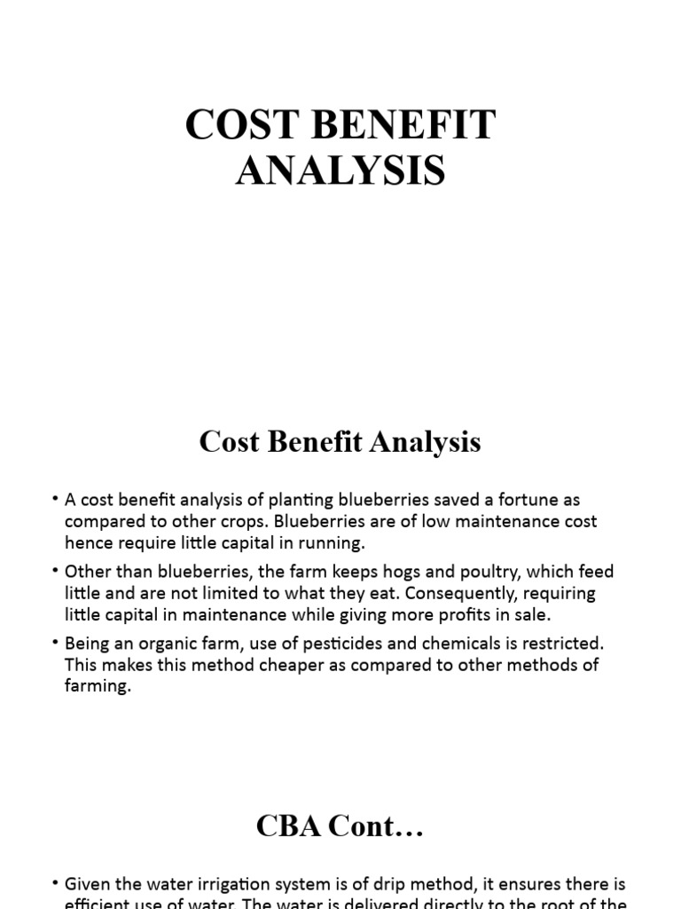 Cost Benefit Analysis | PDF